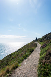 Stunning Howth Cliff Walk & Seaside Village - Reverberations