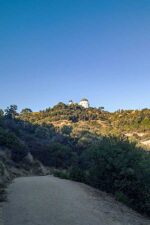 Hiking in Griffith Park for Hollywood Sign Views - Reverberations