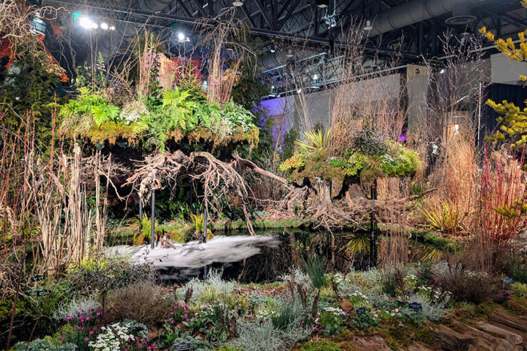 Philadelphia Flower Show 2025 Guide: Best Exhibits, Tips & Visitor ...