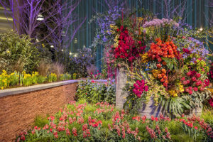 Philadelphia Flower Show 2025 Guide: Best Exhibits, Tips & Visitor ...